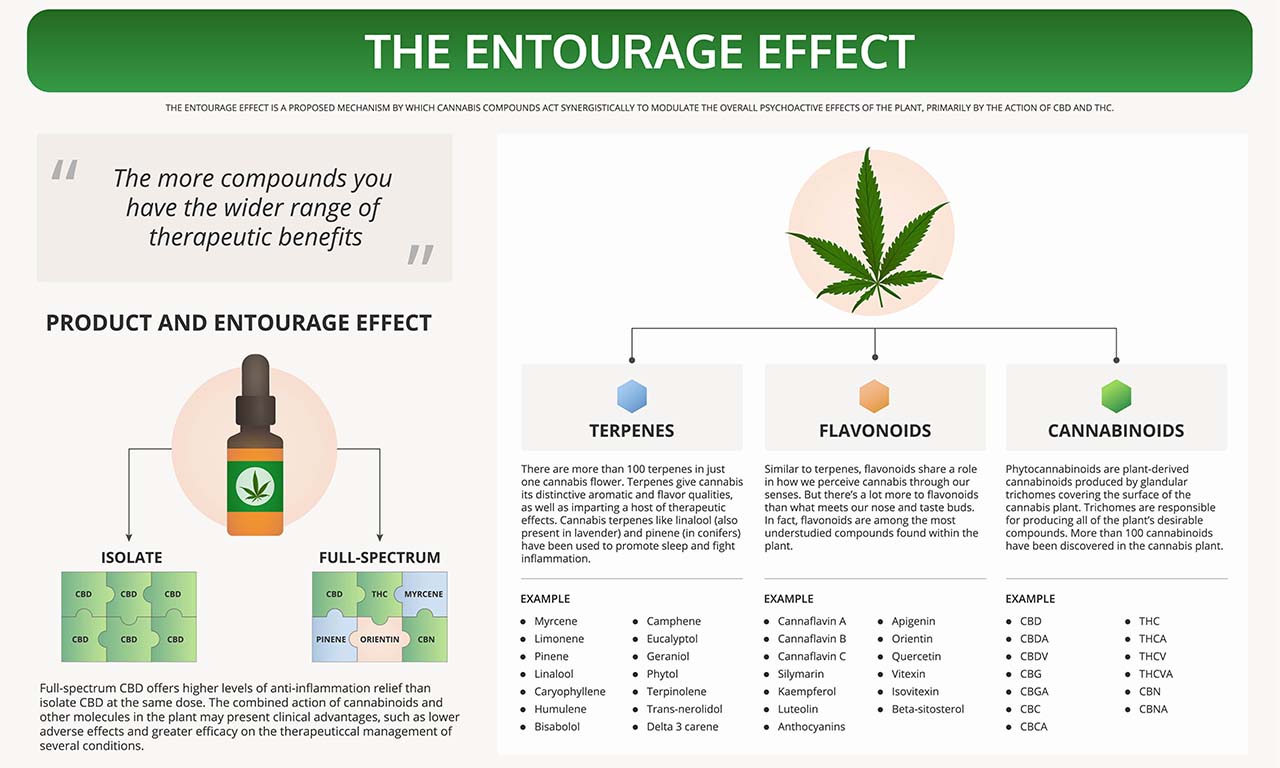 What is the Entourage Effect (CBD) & Why It Matters? | 2025